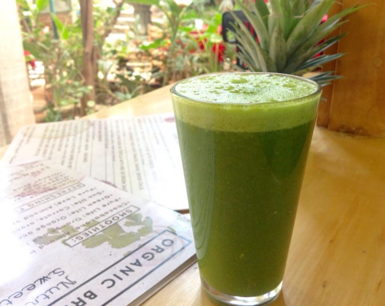 Alef introduces Organic LOVE! - Villa Amor del Mar