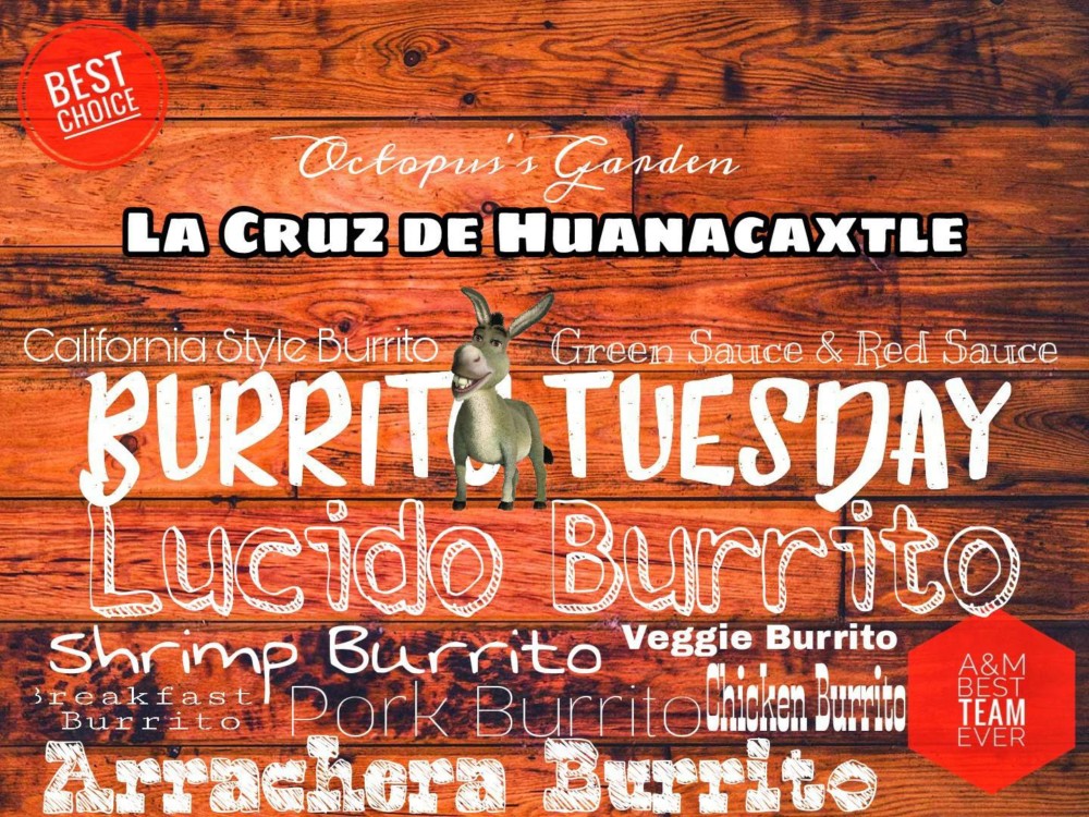 Meet Greg... the creator of the Lucido Burrito! - Villa Amor del Mar